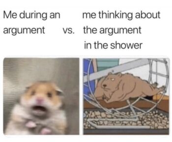 25 Adorable Hamster Memes That Will Surely Brighten Your Day ...