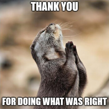 45 Hysterical Thank You Memes To Express Your Appreciation ...