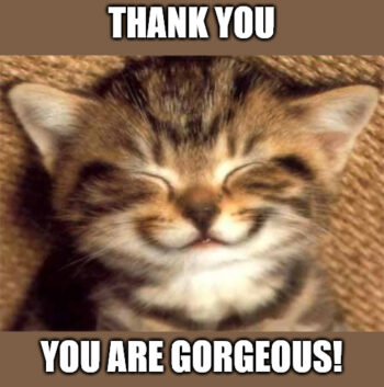 45 Hysterical Thank You Memes To Express Your Appreciation ...