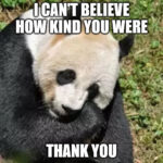 45 Hysterical Thank You Memes To Express Your Appreciation | Inspirationfeed