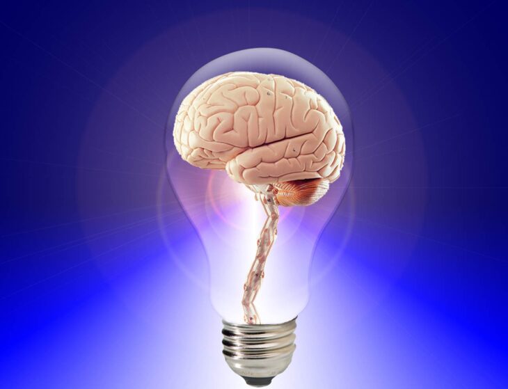 How Much of Our Brains Do We Use? | Inspirationfeed