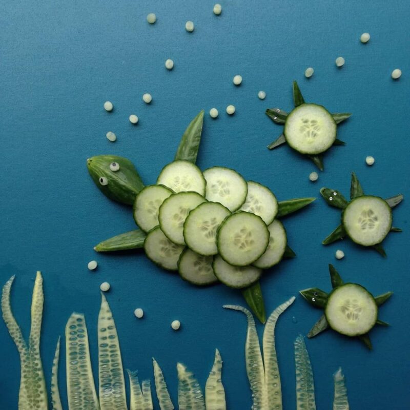 12 Ways To Draw A Turtle Easily | Inspirationfeed