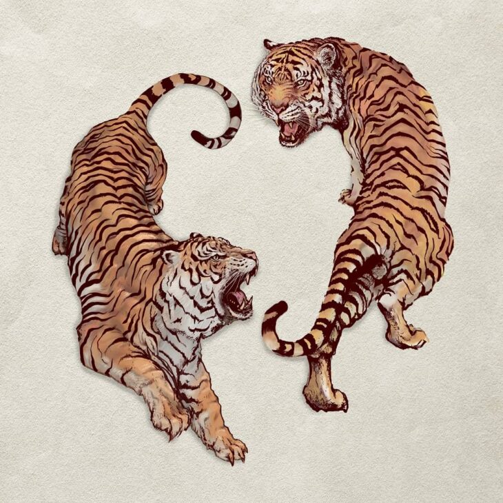 11 Ways to Draw a Tiger (Easy to Follow Tutorials) | Inspirationfeed