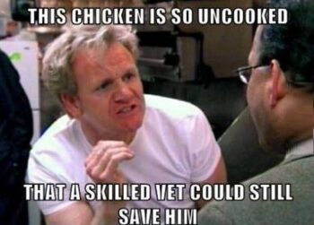 30+ Gordon Ramsay Memes That Will Lift Your Mood | Inspirationfeed