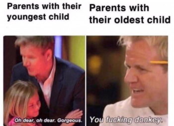 30+ Gordon Ramsay Memes That Will Lift Your Mood | Inspirationfeed
