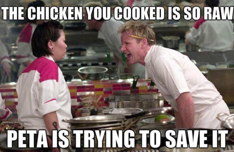 30+ Gordon Ramsay Memes That Will Lift Your Mood | Inspirationfeed