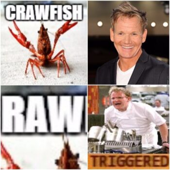 30+ Gordon Ramsay Memes That Will Lift Your Mood | Inspirationfeed