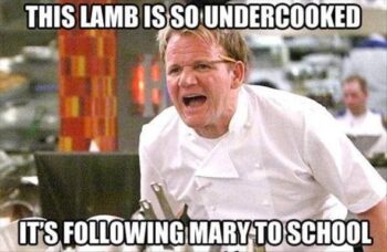 30+ Gordon Ramsay Memes That Will Lift Your Mood | Inspirationfeed