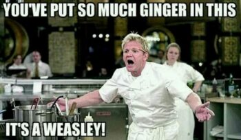 30+ Gordon Ramsay Memes That Will Lift Your Mood | Inspirationfeed