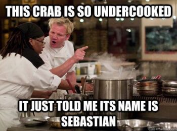 30+ Gordon Ramsay Memes That Will Lift Your Mood | Inspirationfeed
