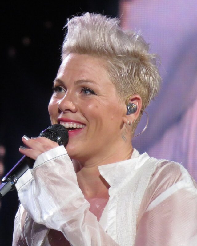 Pink’s Net Worth (Updated 2023) | Inspirationfeed