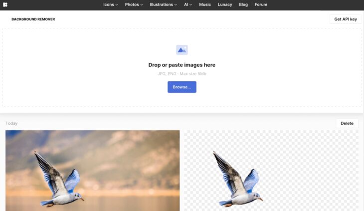 11 Tools to Help You Remove Background from Any Image | Inspirationfeed