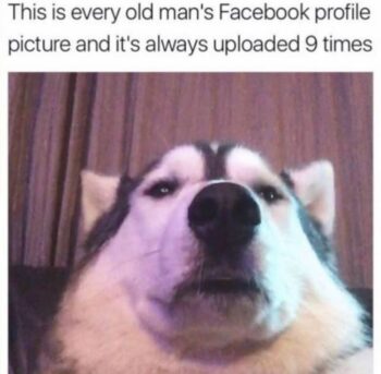 65+ Hilarious Old Man Memes That Will Crack You Up | Inspirationfeed