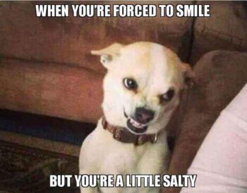 40+ Smile Memes That'll Light Up Your Week | Inspirationfeed