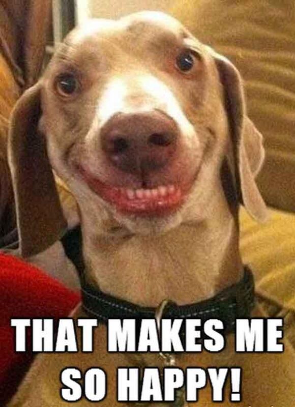 40+ Smile Memes That'll Light Up Your Week | Inspirationfeed