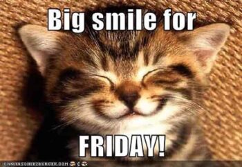 40+ Smile Memes That'll Light Up Your Week | Inspirationfeed