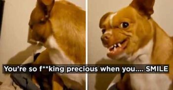 40+ Smile Memes That'll Light Up Your Week | Inspirationfeed