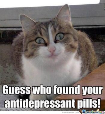 40+ Smile Memes That'll Light Up Your Week | Inspirationfeed