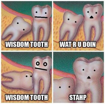 30+ Relatable Teeth Memes That’ll Have You Rolling | Inspirationfeed