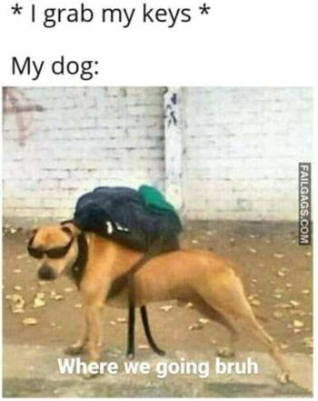 30+ Relatable Bruh Memes | Inspirationfeed