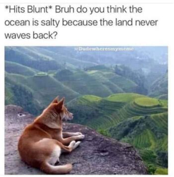 30+ Relatable Bruh Memes | Inspirationfeed