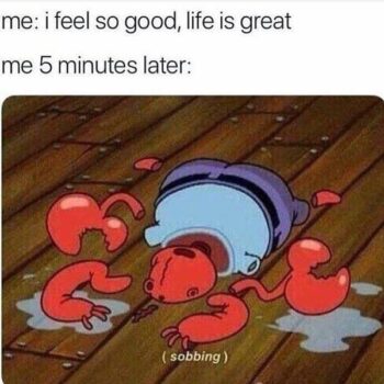 45 Crying Memes That Will Bring a Tear to Your Eye | Inspirationfeed