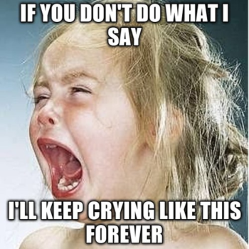 45 Crying Memes That Will Bring a Tear to Your Eye | Inspirationfeed