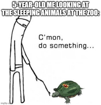 35+ Do Something Memes That Will Make Friends and Family Laugh ...