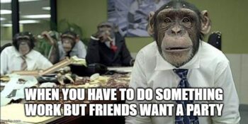 35+ Do Something Memes That Will Make Friends and Family Laugh ...