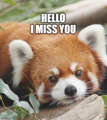 40 Hello Memes to Help Break the Ice | Inspirationfeed