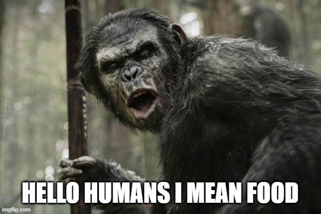 40 Hello Memes to Help Break the Ice | Inspirationfeed