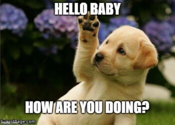 40 Hello Memes to Help Break the Ice | Inspirationfeed