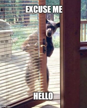 40 Hello Memes to Help Break the Ice | Inspirationfeed