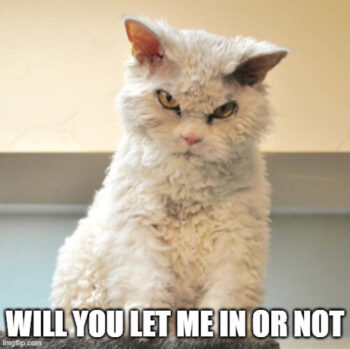 30+ Dank Let Me In Memes | Inspirationfeed