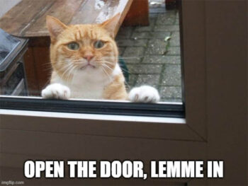 30+ Dank Let Me In Memes | Inspirationfeed