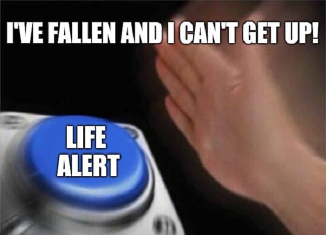 25+ Dope Life Alert Memes For All Ages | Inspirationfeed