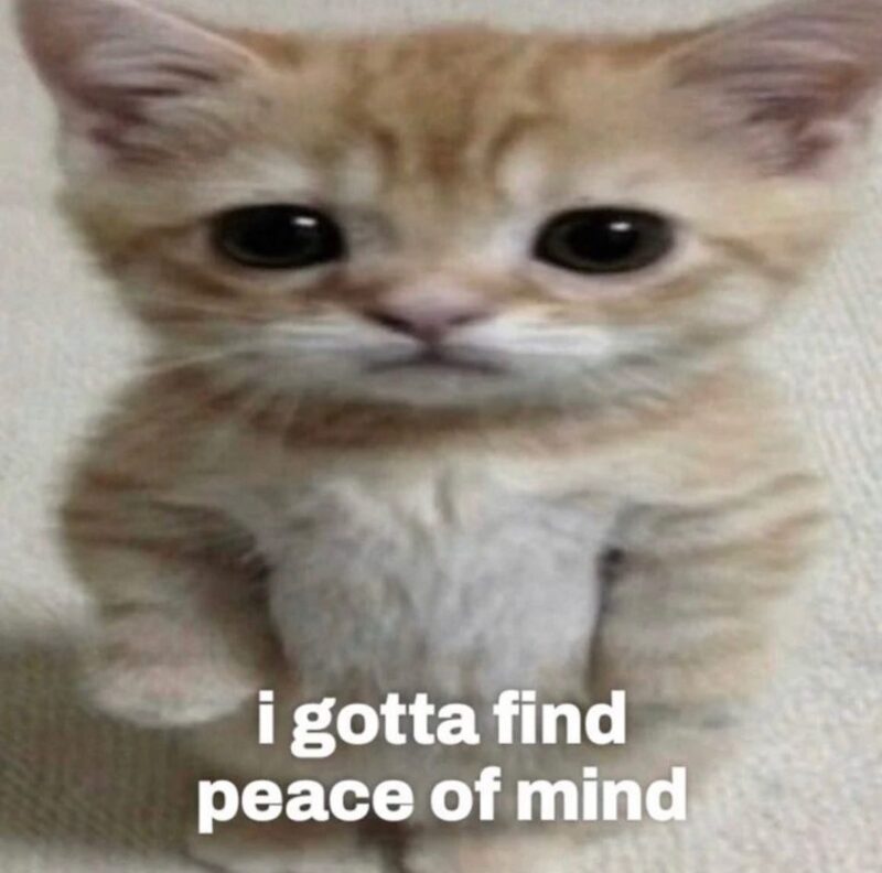 Feeling Down? 75+ Sad Memes to Help You Express Your Emotions ...