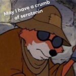 Feeling Down? 75+ Sad Memes to Help You Express Your Emotions ...