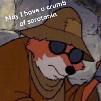 Feeling Down? 75+ Sad Memes to Help You Express Your Emotions ...