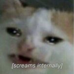 Feeling Down? 75+ Sad Memes to Help You Express Your Emotions ...