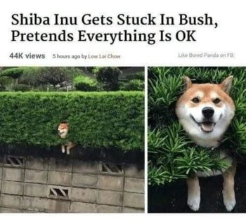 Feeling Down? 75+ Sad Memes to Help You Express Your Emotions ...