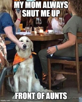 50+ Shut Up Memes To Send Someone that Doesn't Get the Hint ...