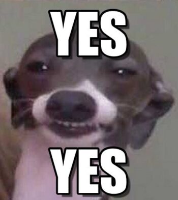 30+ Yes Memes That You Wont be Able to Say 'No' To | Inspirationfeed