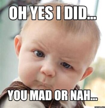 30+ Yes Memes That You Wont be Able to Say 'No' To | Inspirationfeed