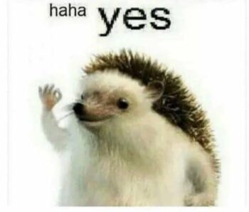 30+ Yes Memes That You Wont be Able to Say 'No' To | Inspirationfeed