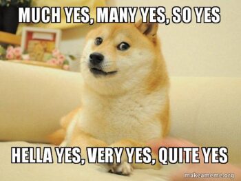 30+ Yes Memes That You Wont be Able to Say 'No' To | Inspirationfeed