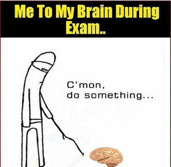 35+ Do Something Memes That Will Make Friends and Family Laugh ...