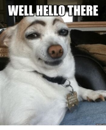 40 Hello Memes to Help Break the Ice | Inspirationfeed