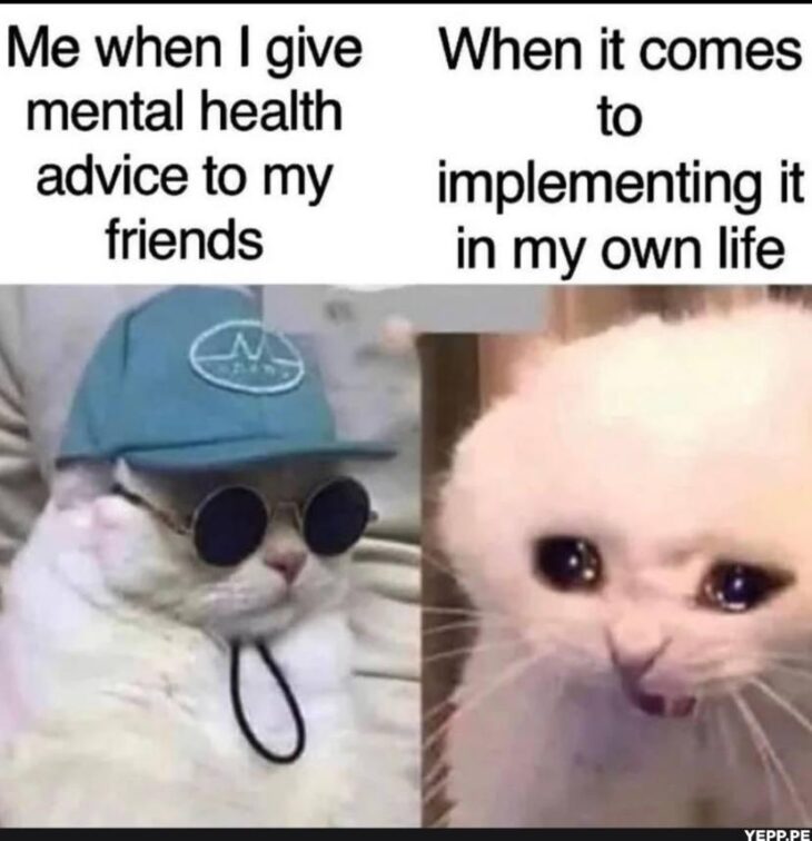 4 Ways Memes Are Good For Your Mental Health. Here is Why | Inspirationfeed