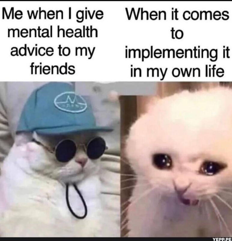 4 Ways Memes Are Good For Your Mental Health. Here is Why | Inspirationfeed